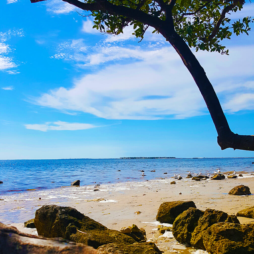 Sunset Beach Tarpon Springs - Florida Balm