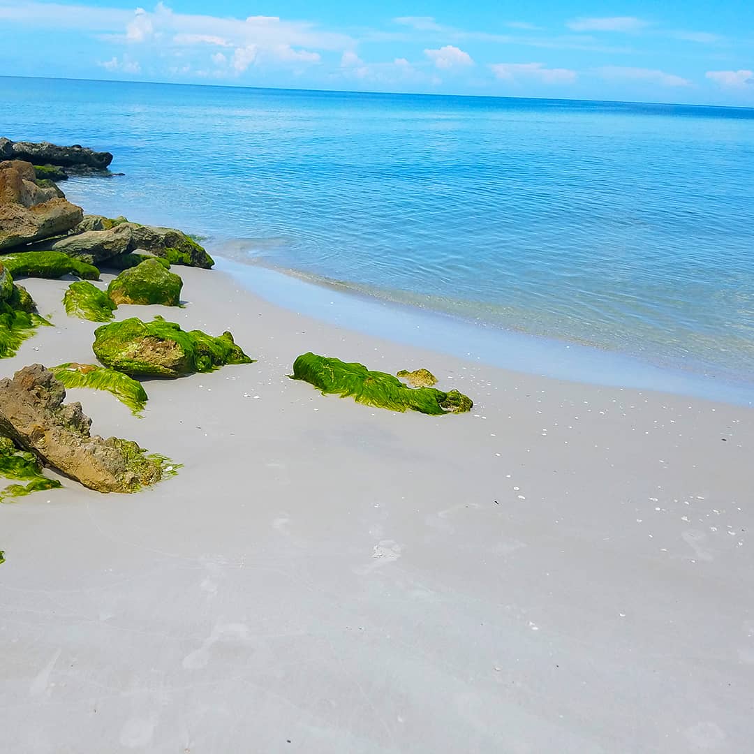 Naples Beach North Gulfshore - Florida Balm