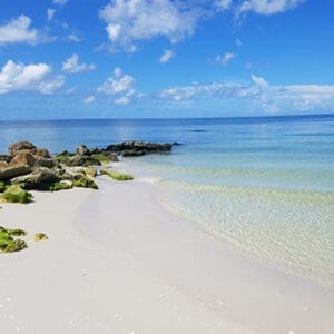 Finding Tide Pools in Florida - Florida Balm